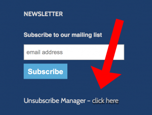 13 Best Practices for a Killer Email Opt-in Form